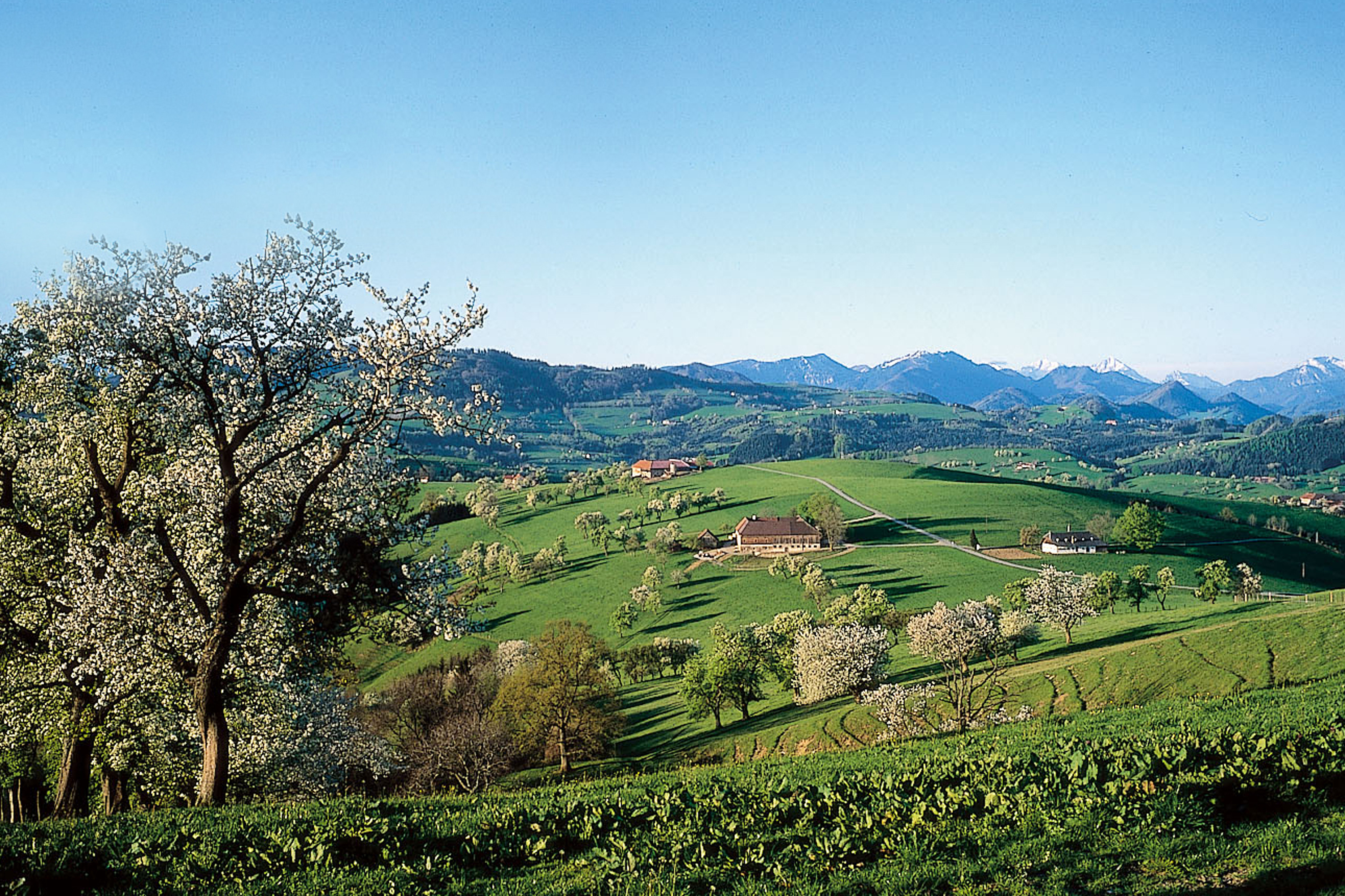 Mostviertel - Lower Austrian regions