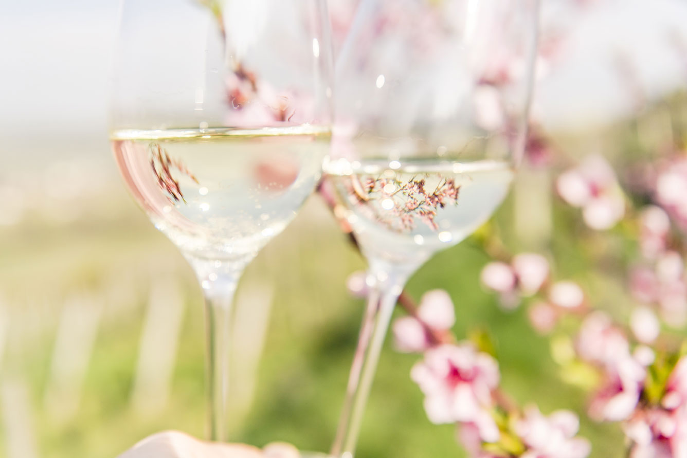 Wine events in spring - Wine spring