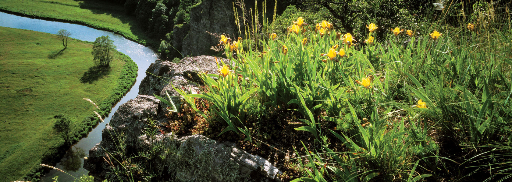 Thaya Valley National Park - National parks